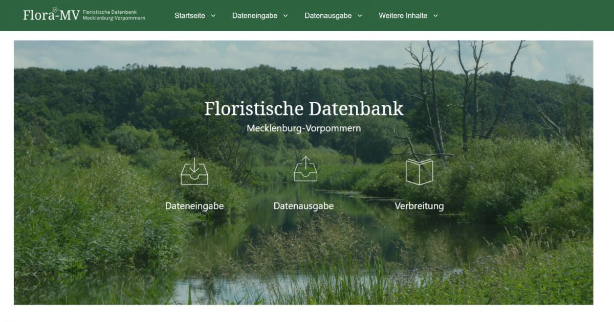 Datenbank Flora-MV – AG Geobotanik